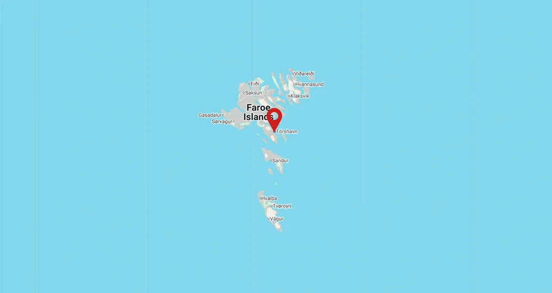 全球运输物流服务 | Scan Global Logistics